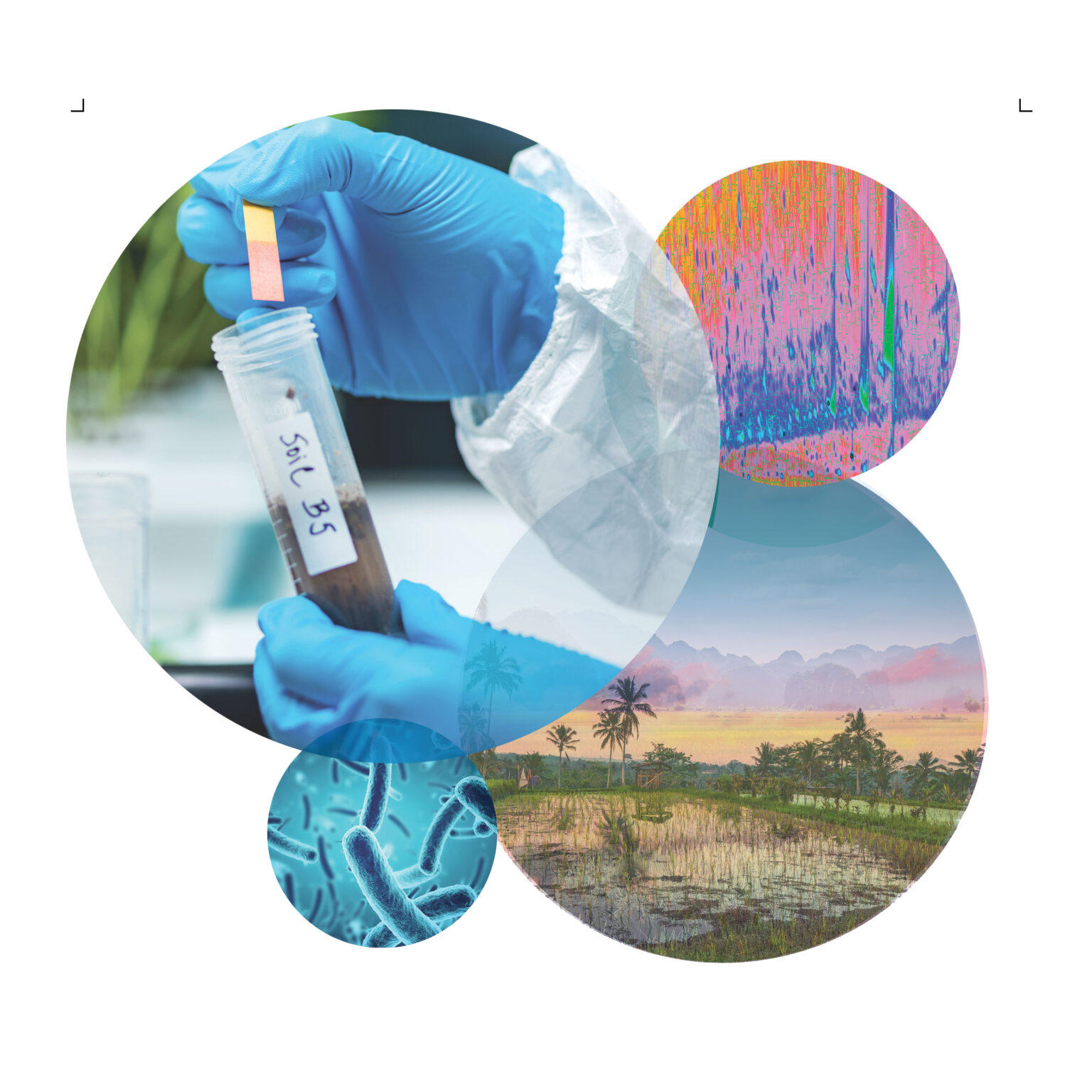 Applications – Zoex